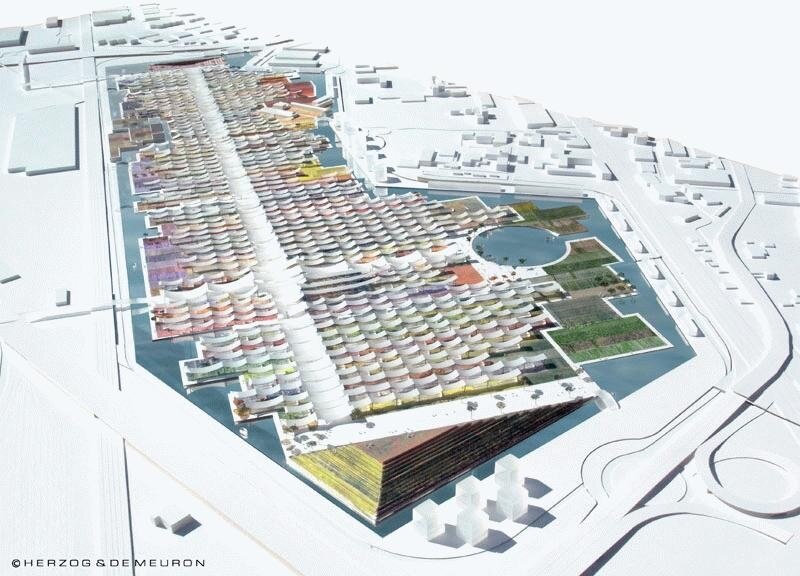 Expo 2015: il Masterplan - Domus