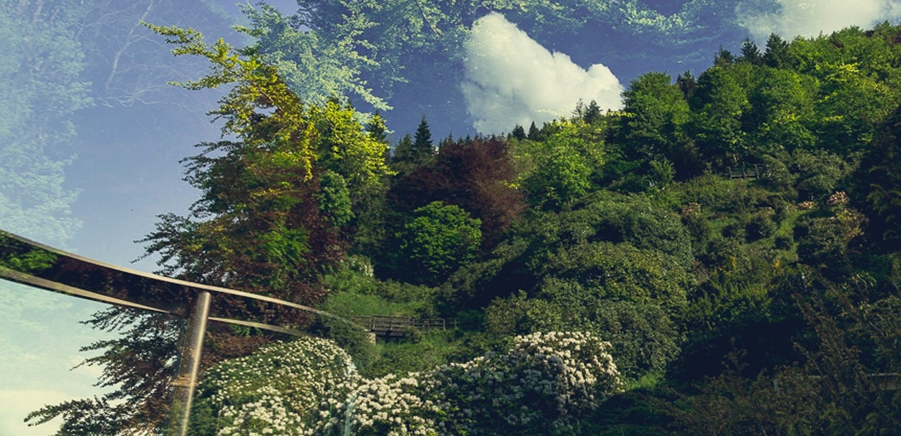 Dan Graham: All’aperto - Domus