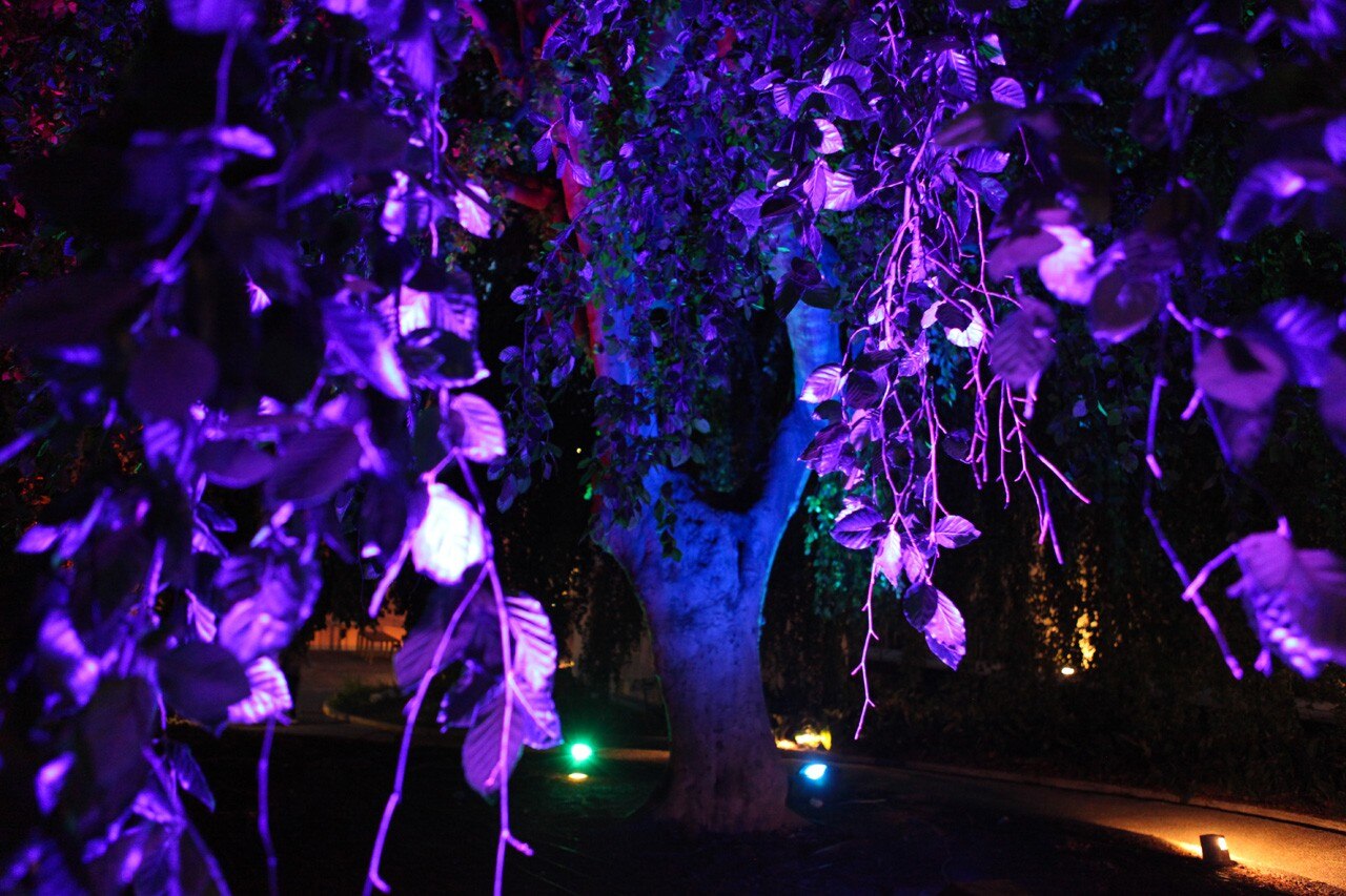 Performance in Lighting - Domus