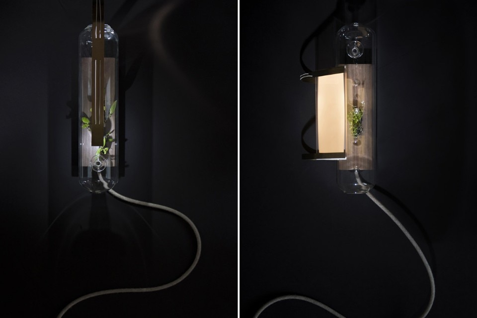 Morgan Ruben: Terra - Domus