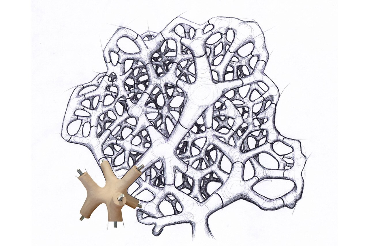 Barriera corallina artificiale - Domus