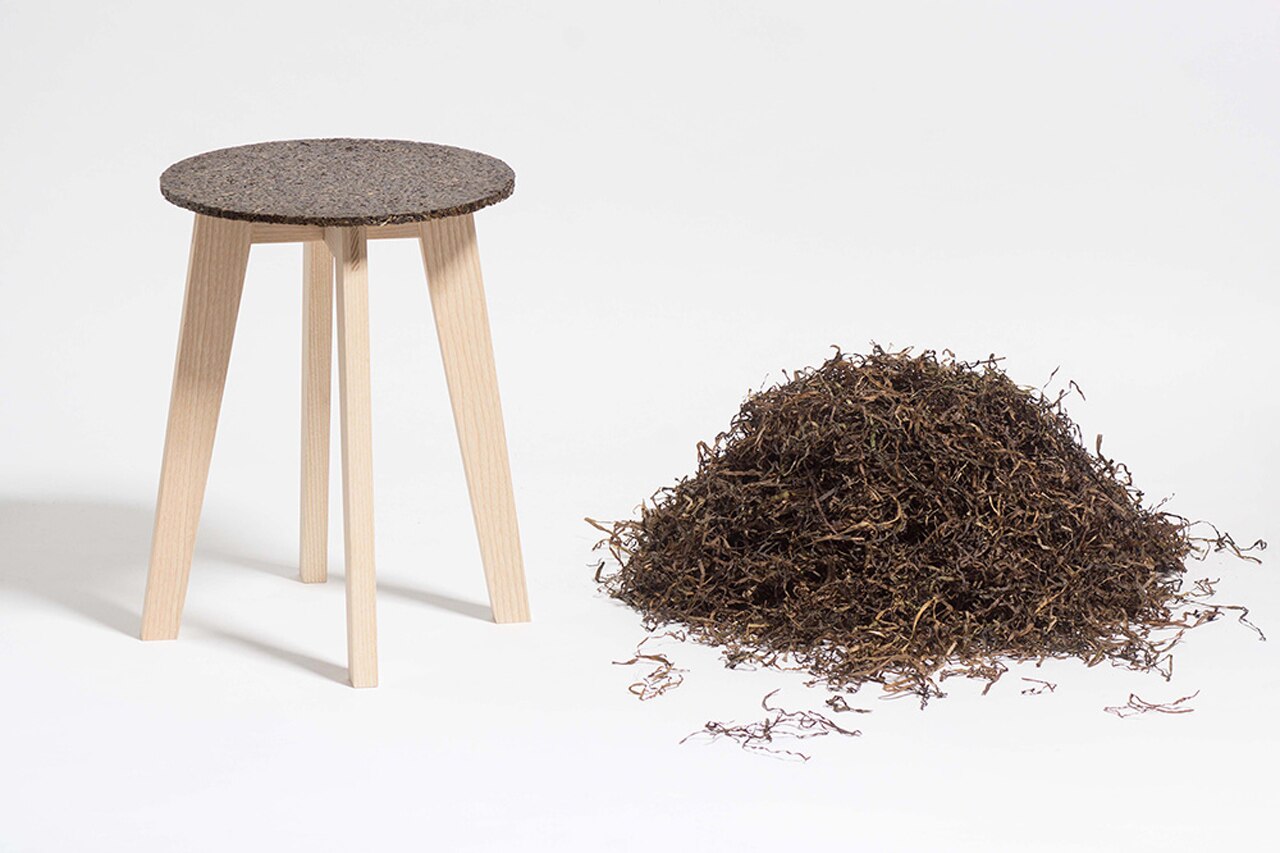 Zostera Stool - Domus