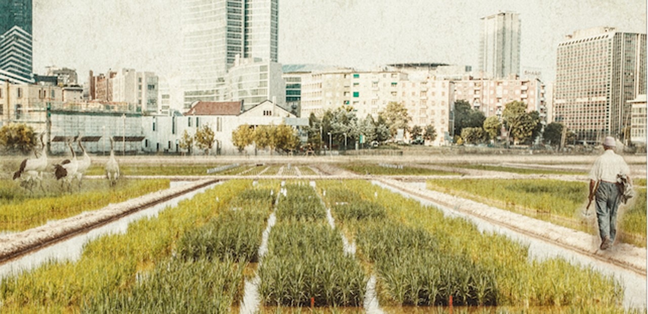 Milano Animal City 2016 - Domus