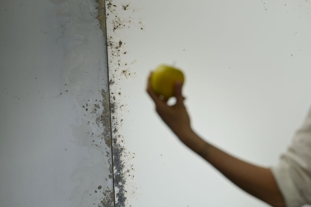 Linck e Labanto - Domus