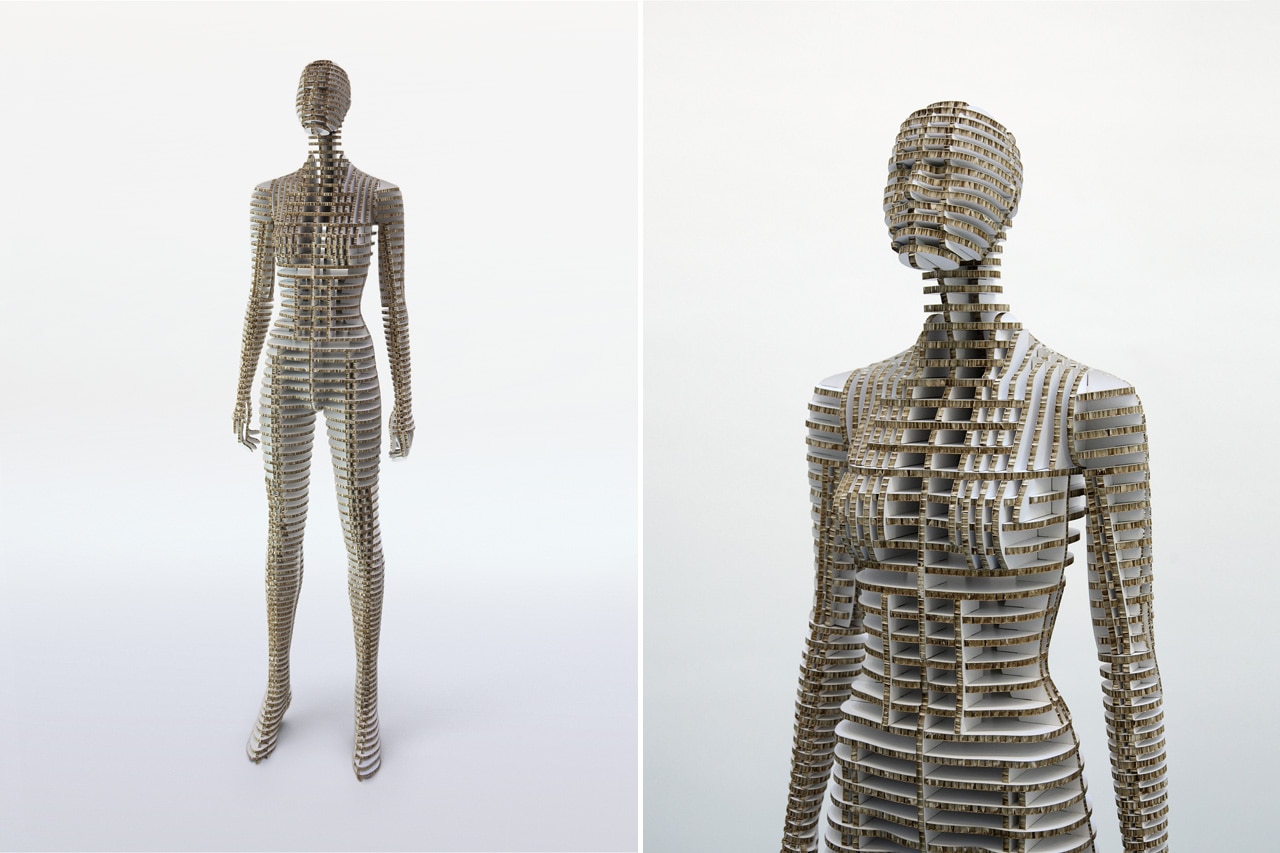 Transparent body - Domus