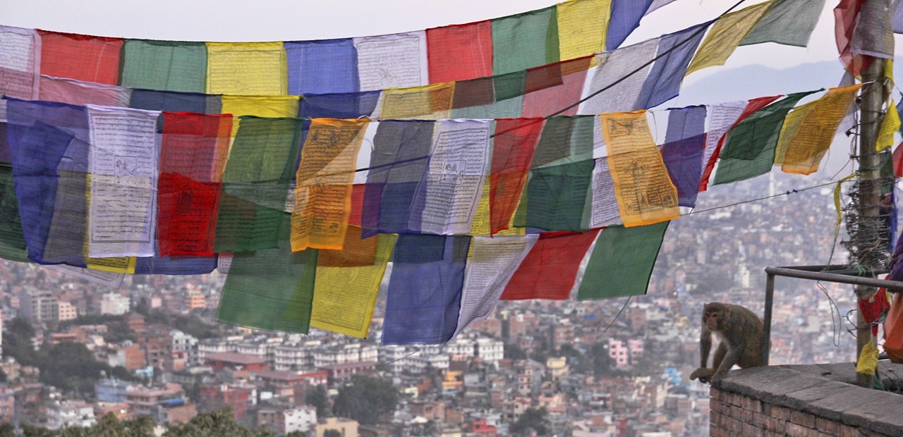 Design for Nepal - Domus