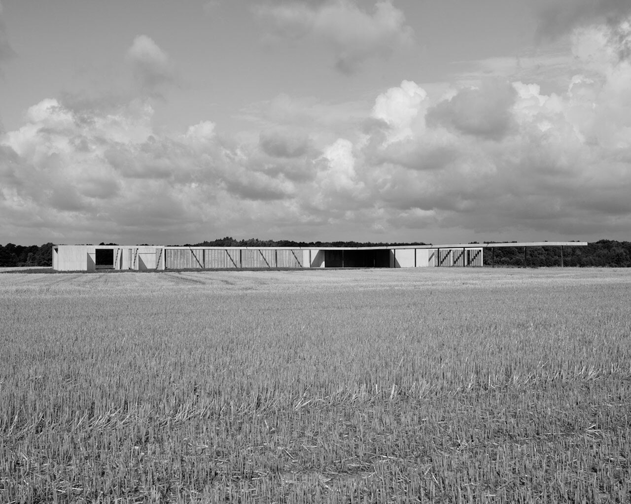 Vernacular & Modern - Domus