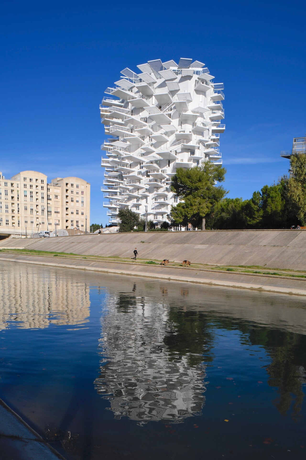 White tree - Domus