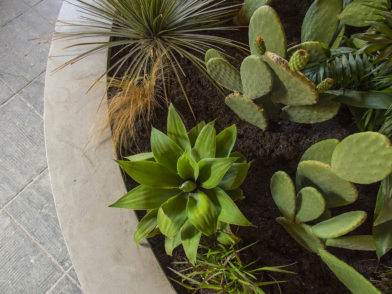 Preserving Delay. An exhibition by the AA Museum Lab at Manifesta 12 ...