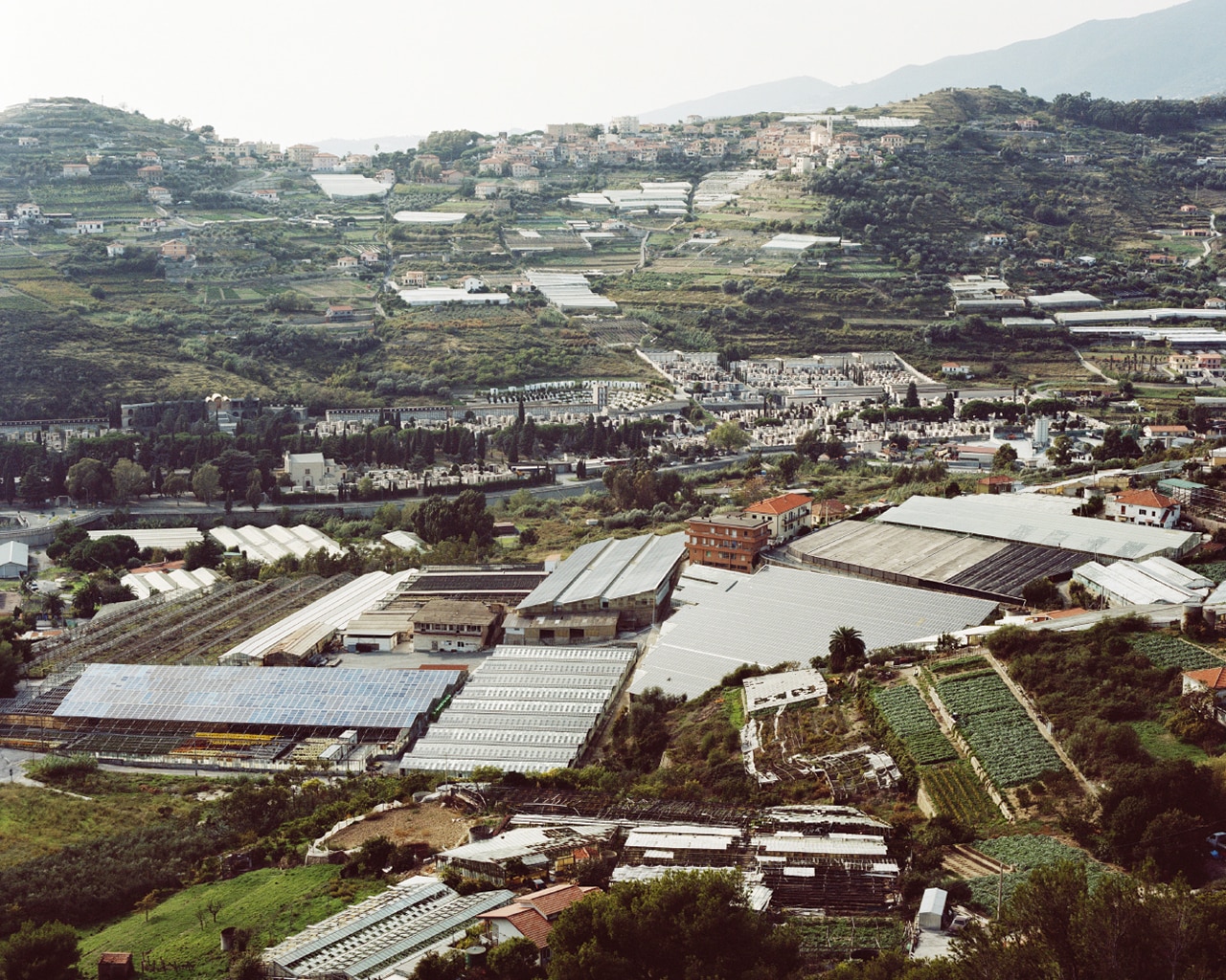 Palermo. Agricultural landscapes and seas of plastic on show - Domus