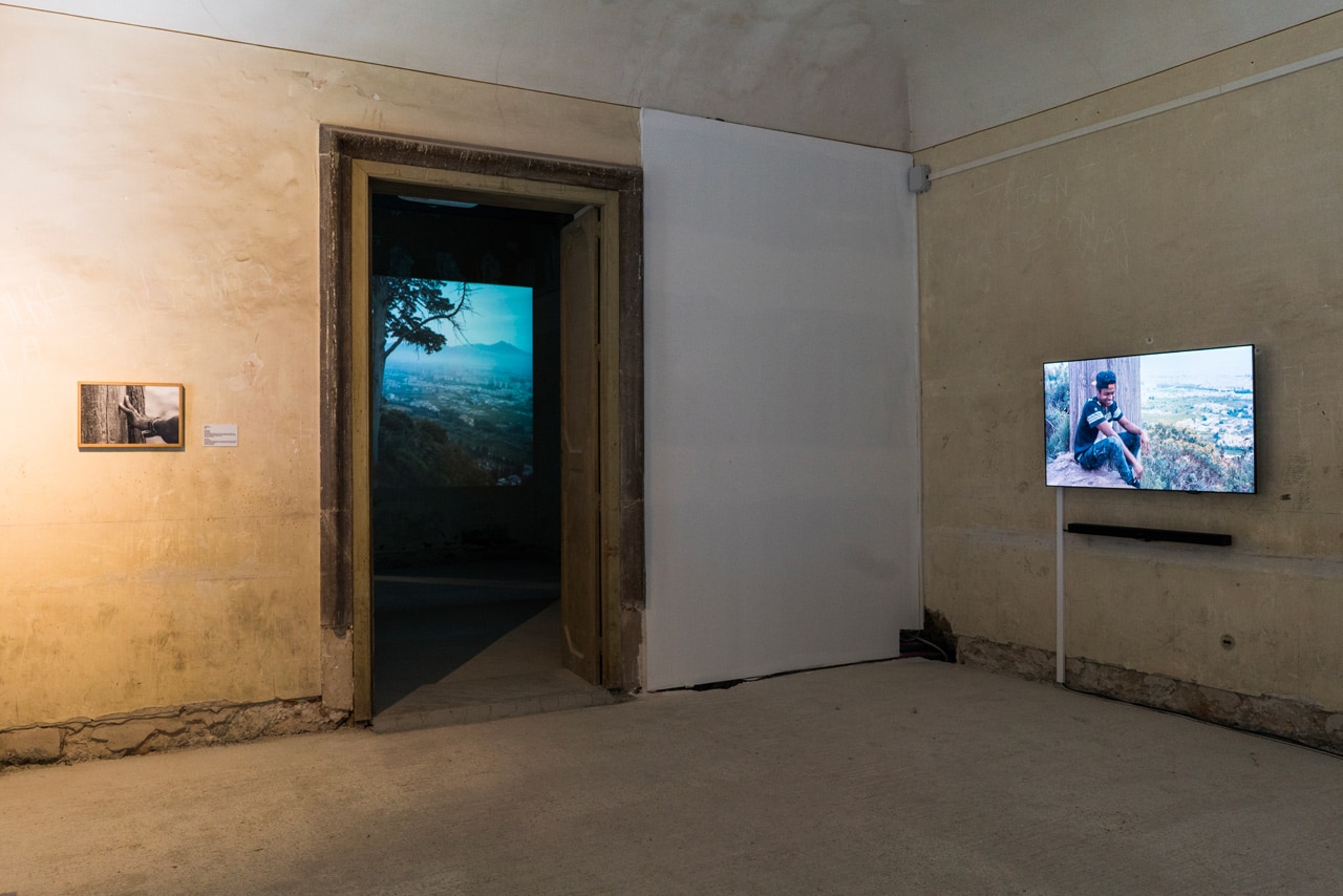 Interview to Uriel Orlow. Wishing Trees, a wide-ranging installation ...