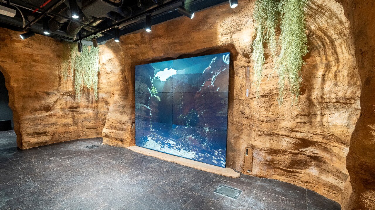 An immersive laboratory at the intersection of design, neuroscience and ...