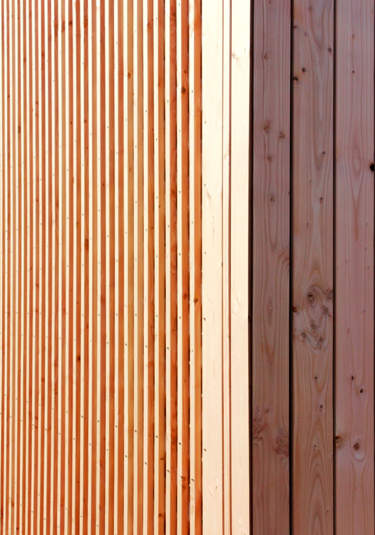 "Build together, learn together". Students design a building for ...