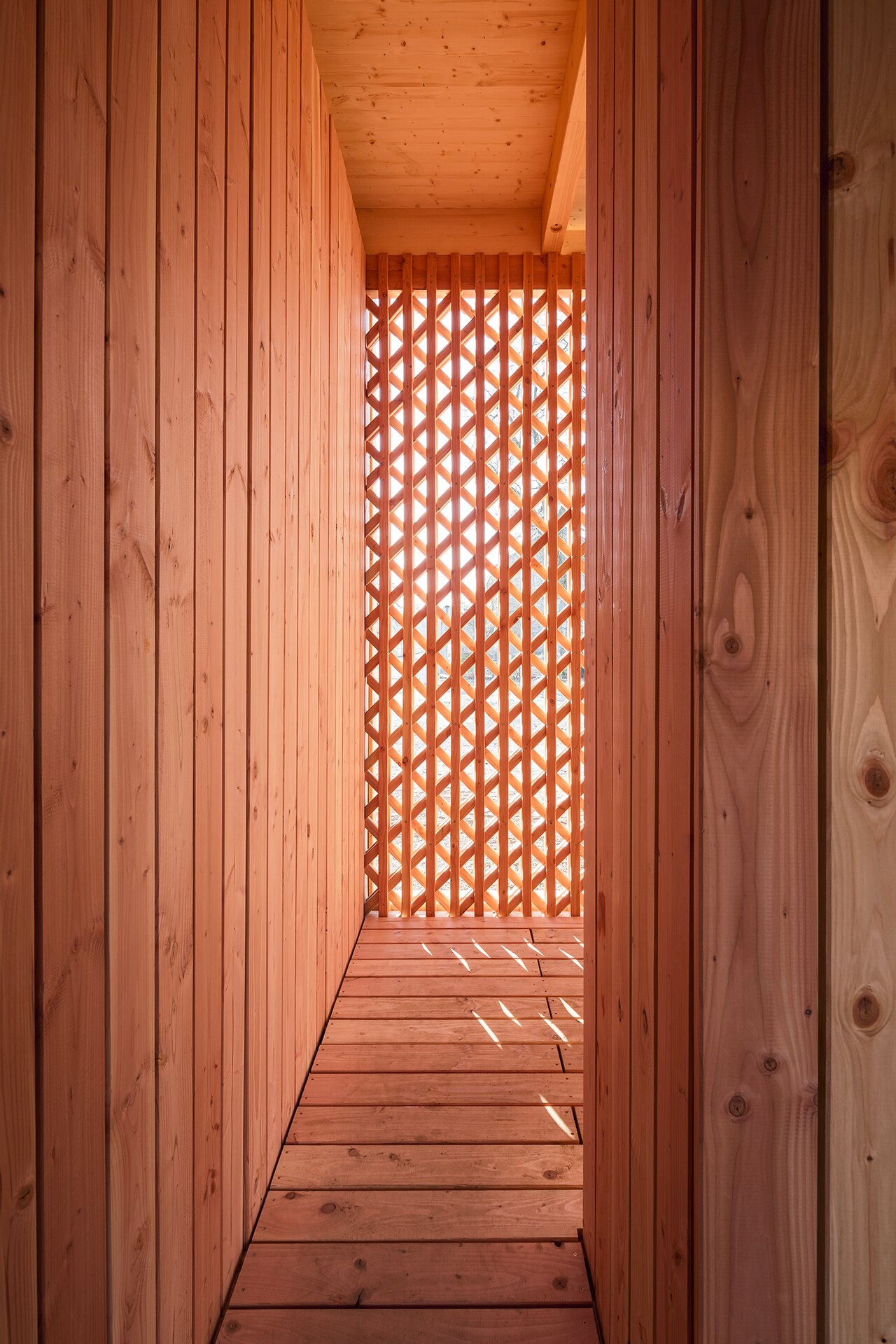 "Build together, learn together". Students design a building for ...