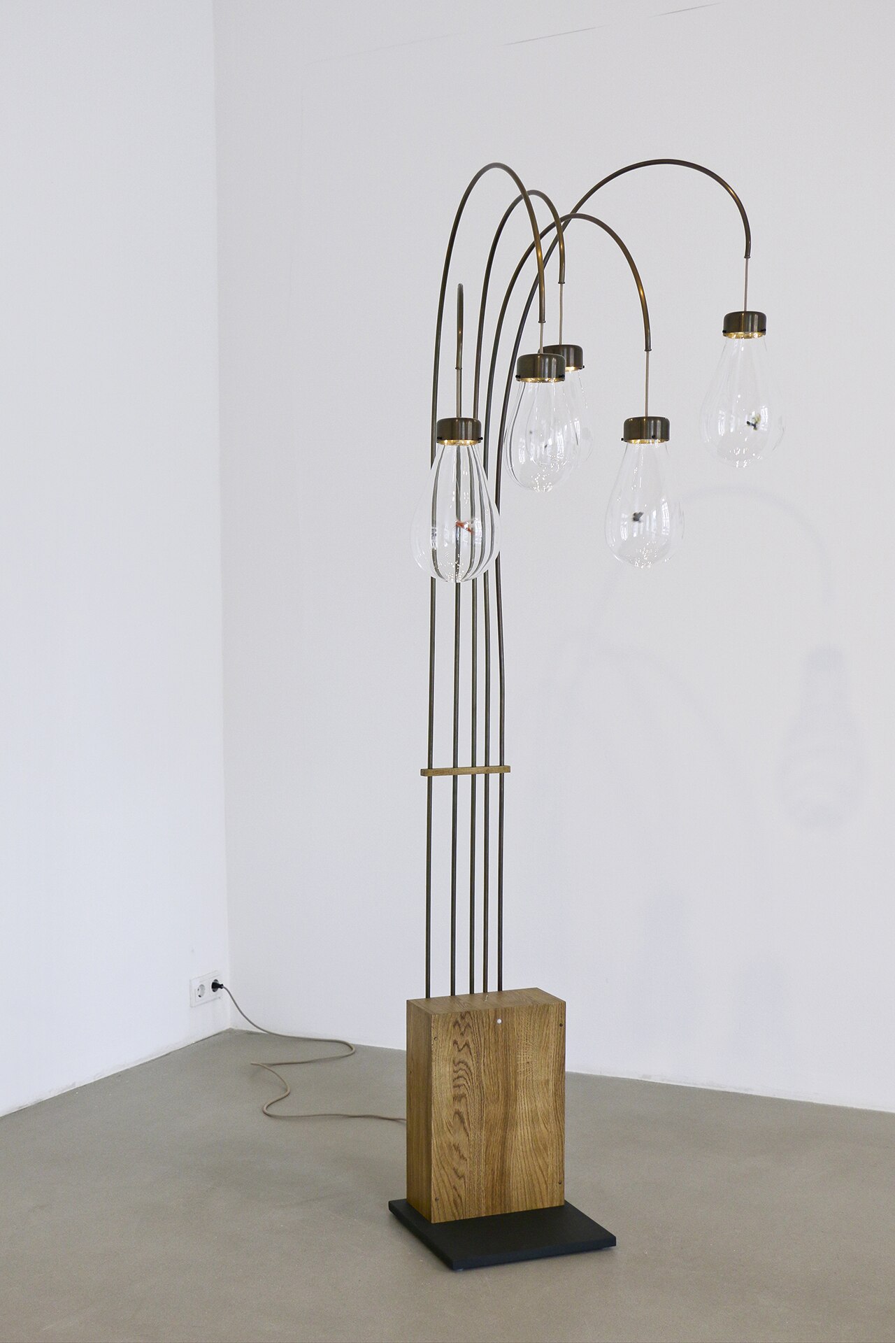 Best of Vienna Design Week - Domus