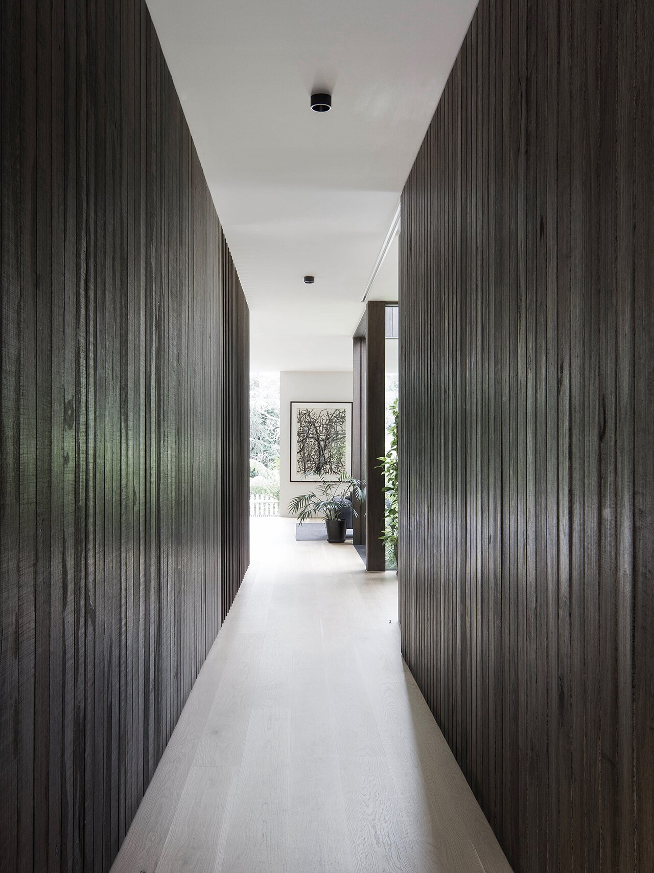 A rough house in Melbourne by Andrew Walter