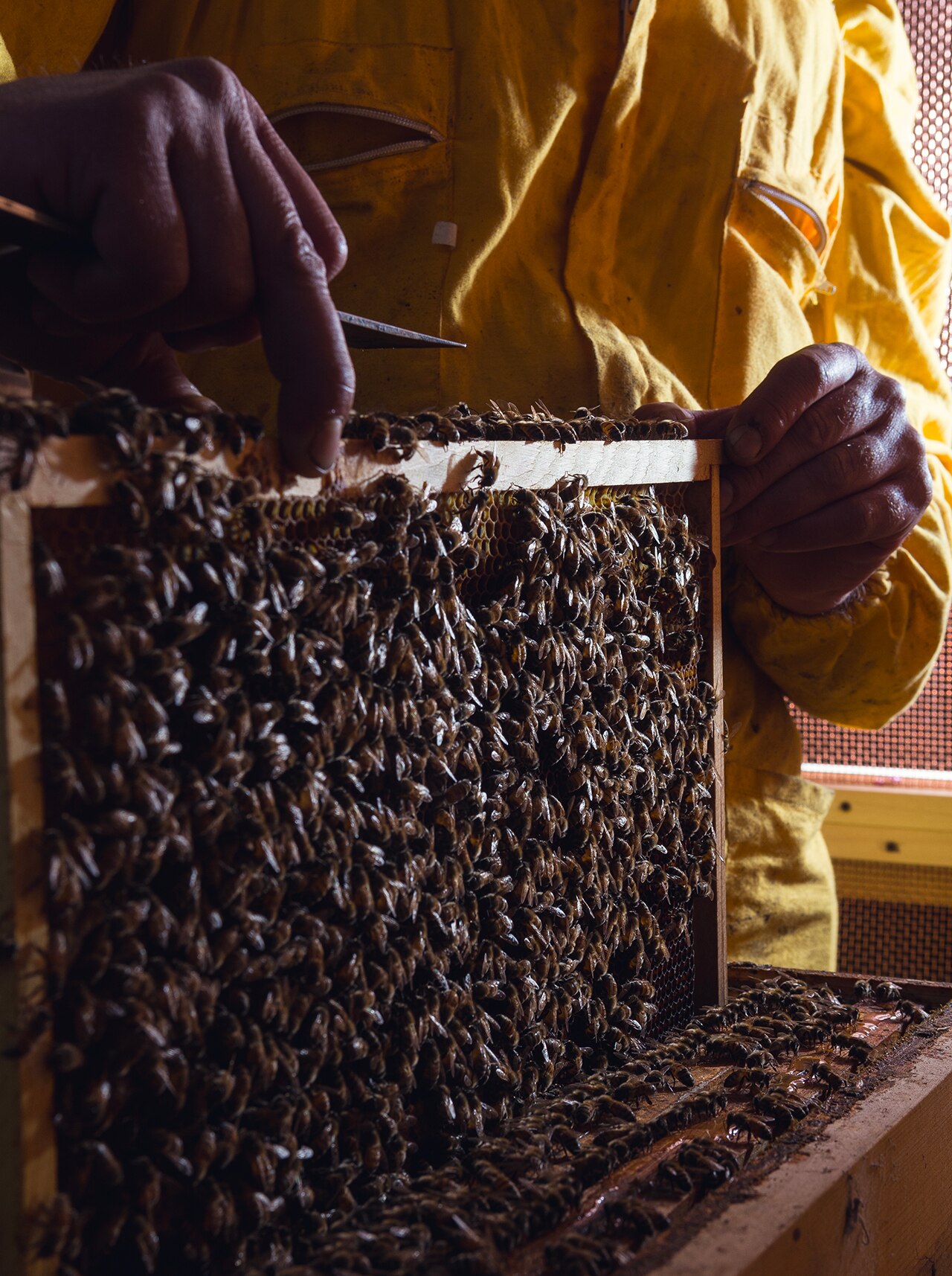 Francesco Faccin: design challenges in a dystopian society - Domus